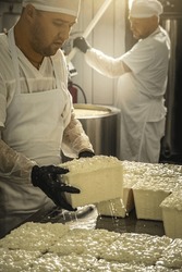Cheese production factory, an Industrial Photo by REDDOT Studio