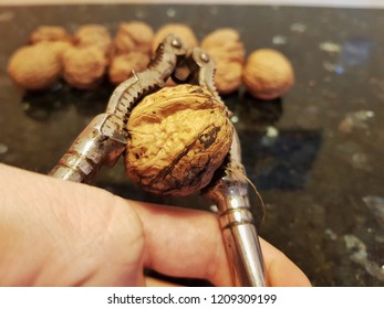 Man Cracking Nut Nut Cracker Stock Photo 1209309199 | Shutterstock