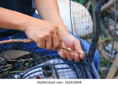 Man Create Some Trap Catch Animal Stock Photo 561616858 | Shutterstock