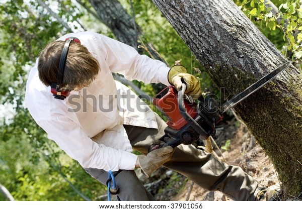Man Cutting Down Tree Chainsaw Stock Photo 37901056 | Shutterstock
