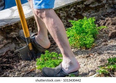 Man Digging Field Using Spade Stock Photo 1013430442 | Shutterstock