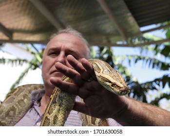 Spotted python : 10 669 images, photos et images vectorielles de stock ...