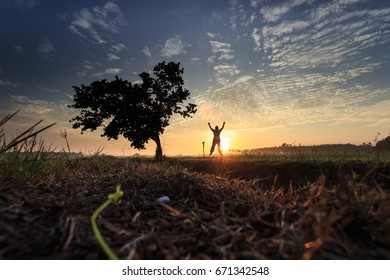 Man Jumping Under Tree While Facing Stock Photo 671342548 | Shutterstock