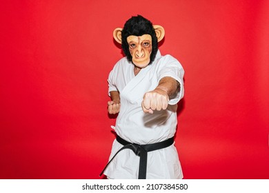 210 Karate monkey Images, Stock Photos & Vectors | Shutterstock
