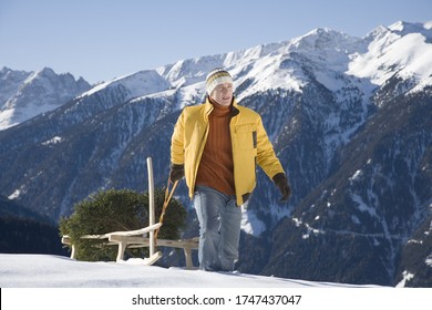 Man Pulling Pine Tree On Sled Stock Photo 1747437047 | Shutterstock