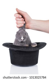 128 Man Pulling Rabbit Hat Images, Stock Photos & Vectors | Shutterstock