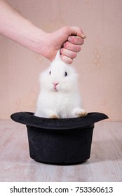 128 Man Pulling Rabbit Hat Images, Stock Photos & Vectors | Shutterstock