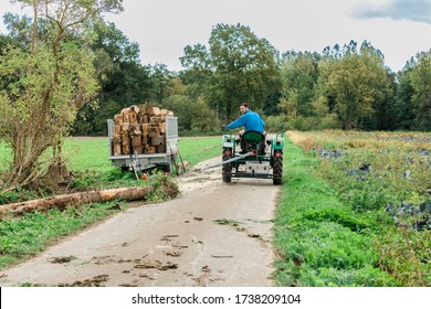 2,327 Pulling trunk Images, Stock Photos & Vectors | Shutterstock