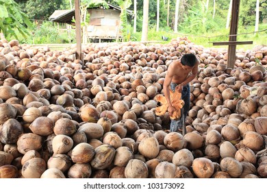 Coconut man Images, Stock Photos & Vectors | Shutterstock