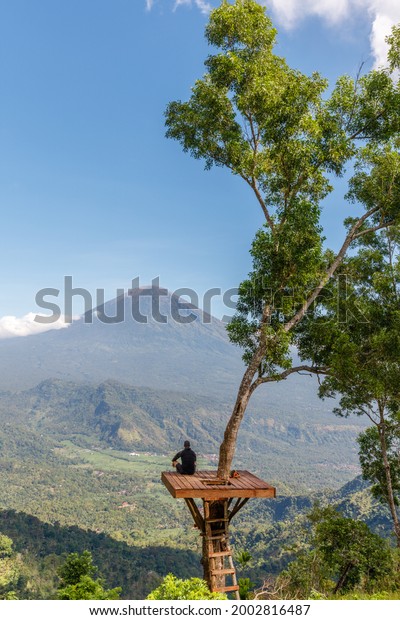 Man Sitting On Tree Platform Viewpoint Stock Photo 2002816487 ...