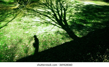 Stock Photo and Image Portfolio by Atelier Leaf | Shutterstock