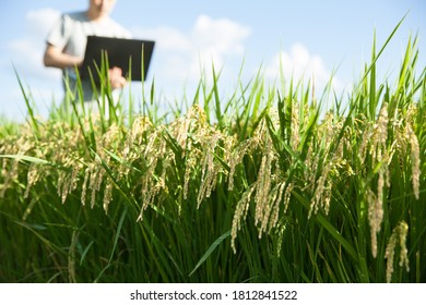 99,668 Computer field Images, Stock Photos & Vectors | Shutterstock