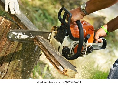 Man Using Saw Stock Photo 291285641 | Shutterstock