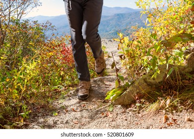 Man Walking On Forest Path Autumn Stock Photo 520801609 | Shutterstock