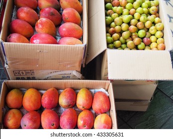 2,996 Taiwan mango Images, Stock Photos & Vectors | Shutterstock