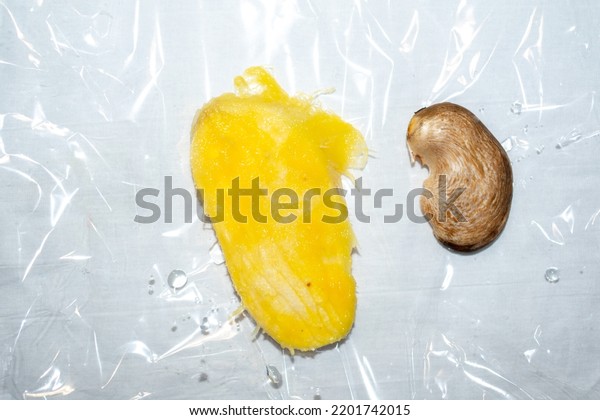 Mango Pit Inner Pit On White Stock Photo 2201742015 | Shutterstock