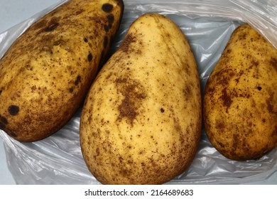 1,163 Rotten mango Stock Photos, Images & Photography | Shutterstock