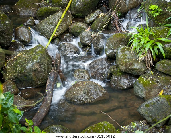 Manoa Stream Base Stock Photo 81136012 | Shutterstock