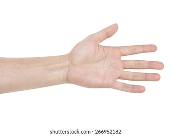 Mans Arm White Background Stock Photo 266952182 | Shutterstock