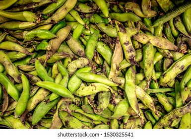 458 Rotten bean Images, Stock Photos & Vectors | Shutterstock