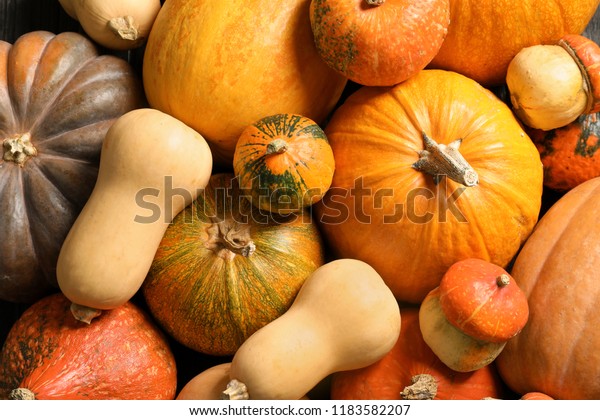 Many Different Pumpkins Background Closeup Autumn Stock Photo ...