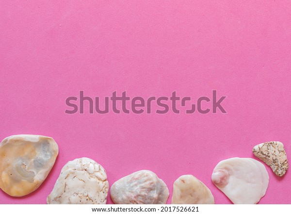 Many Different Sea Shells On Pink Stock Photo 2017526621 | Shutterstock