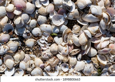 5,293,322 Water with rocks Images, Stock Photos & Vectors | Shutterstock