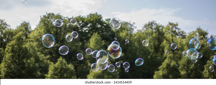 101,726 imágenes de Bubble tree - Imágenes, fotos y vectores de stock ...
