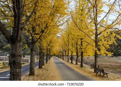 由 mippu_photo 投稿的库存照片和图片组合 | Shutterstock