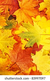 Maple Leaves Background Stock Photo 83997097 | Shutterstock