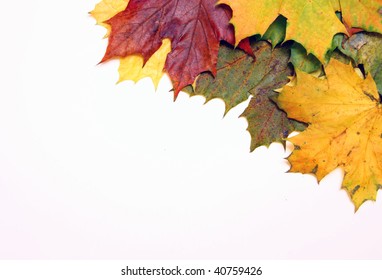 Maple Leaves Corner Stock Photo 40759426 | Shutterstock