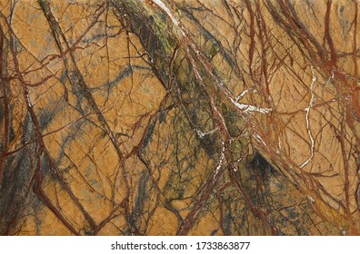 651 Bidasar Stock Photos, Images & Photography | Shutterstock
