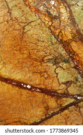 651 Bidasar Stock Photos, Images & Photography | Shutterstock