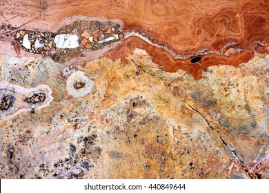 Cross Section Spinal Cord Under Microscope Stock Photo 1204668241 ...