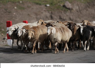 Stock Photo and Image Portfolio by neverlive | Shutterstock
