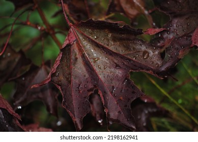 Stock Photo and Image Portfolio by FarfromBlue | Shutterstock
