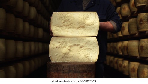 20,404 Cheese Forms Images, Stock Photos & Vectors | Shutterstock