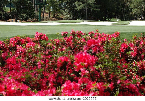 Masters Stock Photo (Edit Now) 3022229