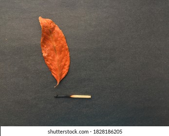872 Match stick plant Images, Stock Photos & Vectors | Shutterstock