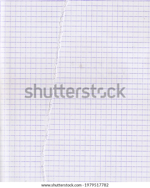 Math Grid Texture Torn Paper Stock Photo 1979517782 | Shutterstock