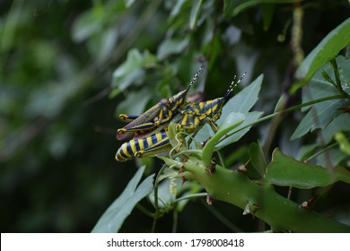 Tiddy Images, Stock Photos & Vectors | Shutterstock
