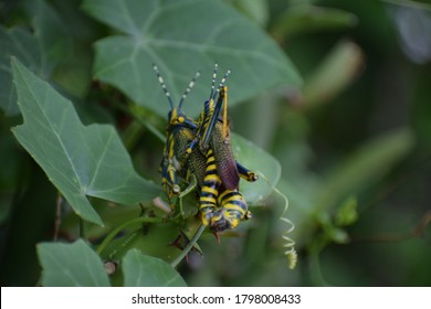 Tiddy Images, Stock Photos & Vectors | Shutterstock