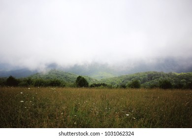 113 Max patch tennessee Images, Stock Photos & Vectors | Shutterstock