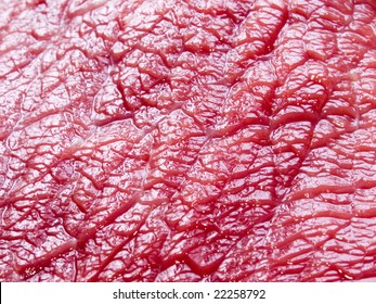 30,107 Flesh texture 图片、库存照片和矢量图 | Shutterstock