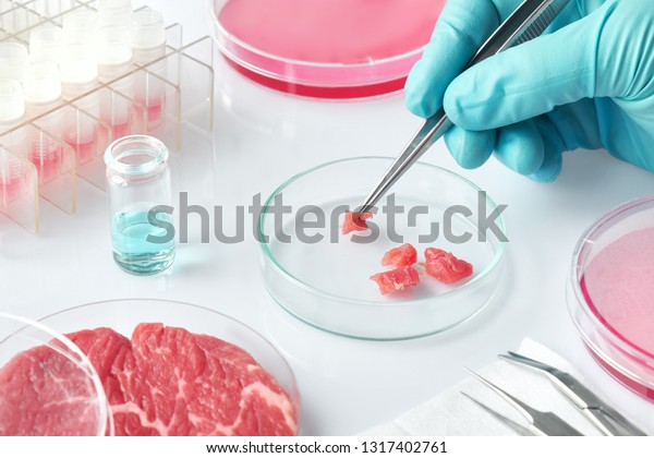 Meat Sample Open Disposable Plastic Cell Stock Photo (Edit Now) 1317402761