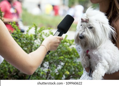 1,413 imágenes de Dog microphone - Imágenes, fotos y vectores de stock ...