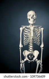 Medical Skeleton Model Dramatic Light Stock Photo 109736609 | Shutterstock