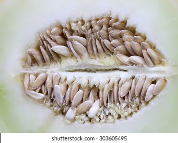 14 Melon open middle Images, Stock Photos & Vectors | Shutterstock