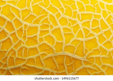 Melon Texture Background Close Macro Stock Photo 1496115677 | Shutterstock