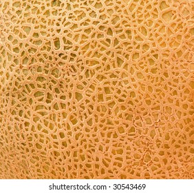 Melon Texture Closeup Stock Photo 30543469 | Shutterstock